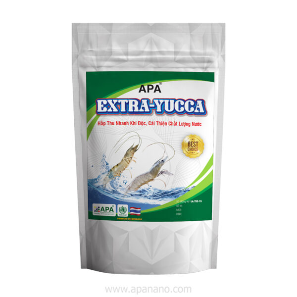 APA EXTRA YUCCA – APA