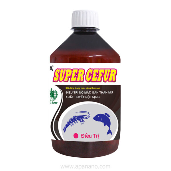 APA SUPER CEFUR – APA